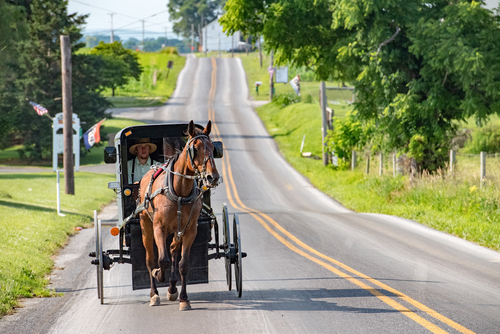 Socialism Contradicts Freedom Of Religion – Why Amish Do Not Pay Social ...